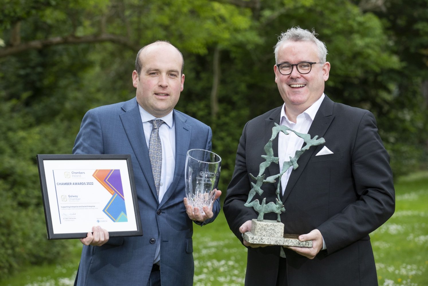 About Awards | Chambers Ireland