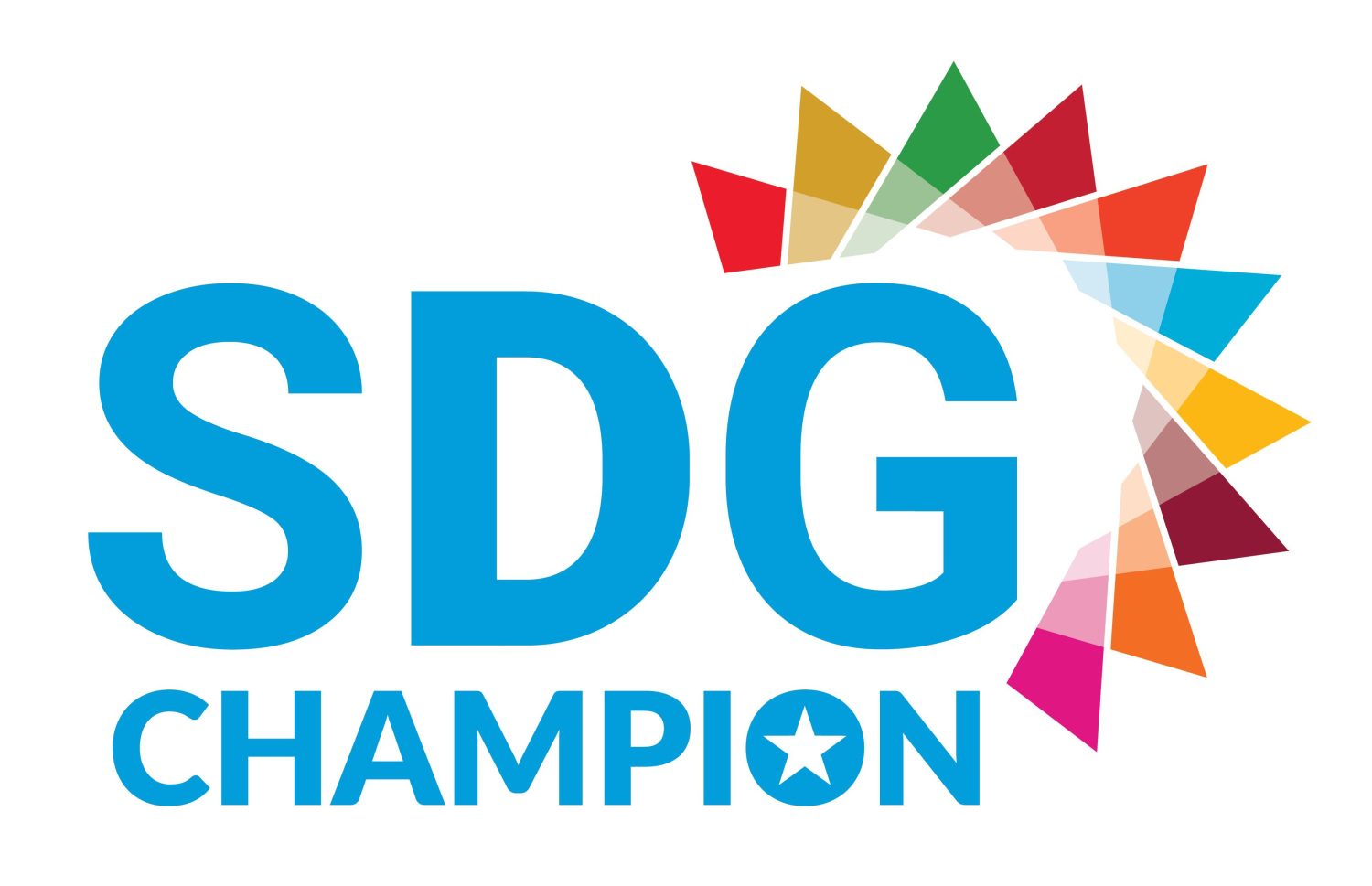 Chambers Ireland announced as a Sustainable Development Goal (SDG ...